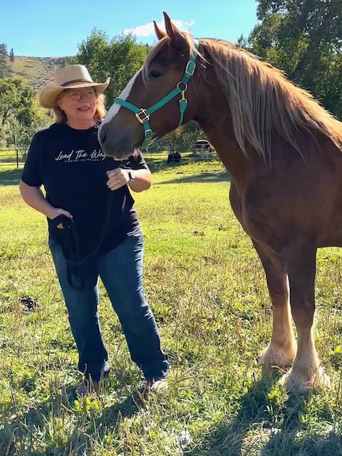 About Us – Lead The Way Equine Learning