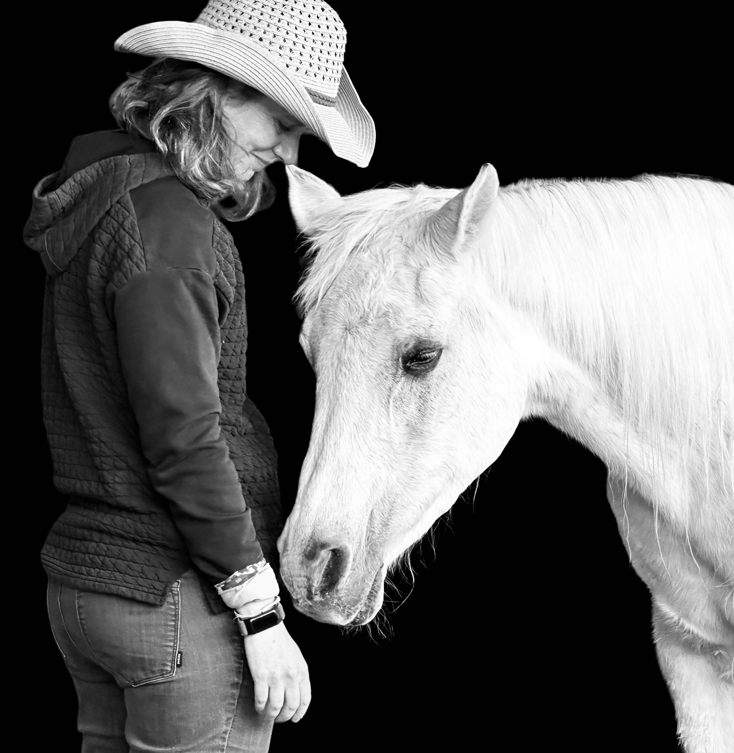 What Happens In A Session? – Lead The Way Equine Learning