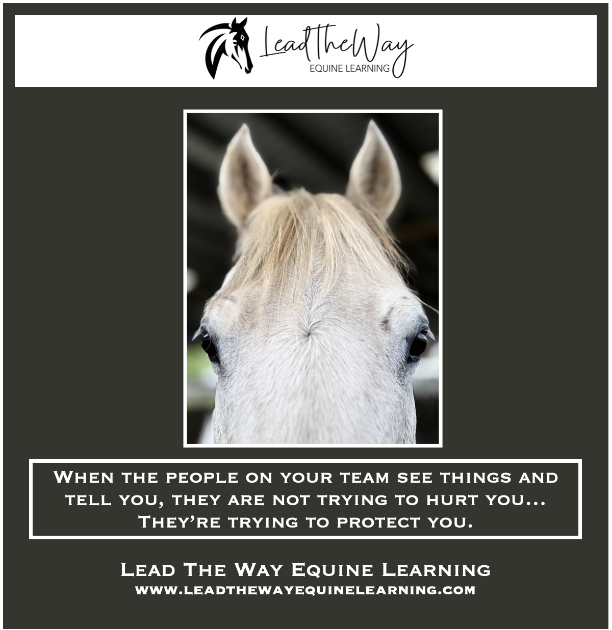 Your Team Is Trying To Protect You – Lead The Way Equine Learning